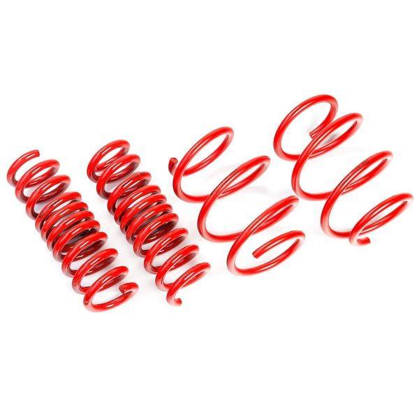 LOWERING SPRINGS – AST | MOTON USA